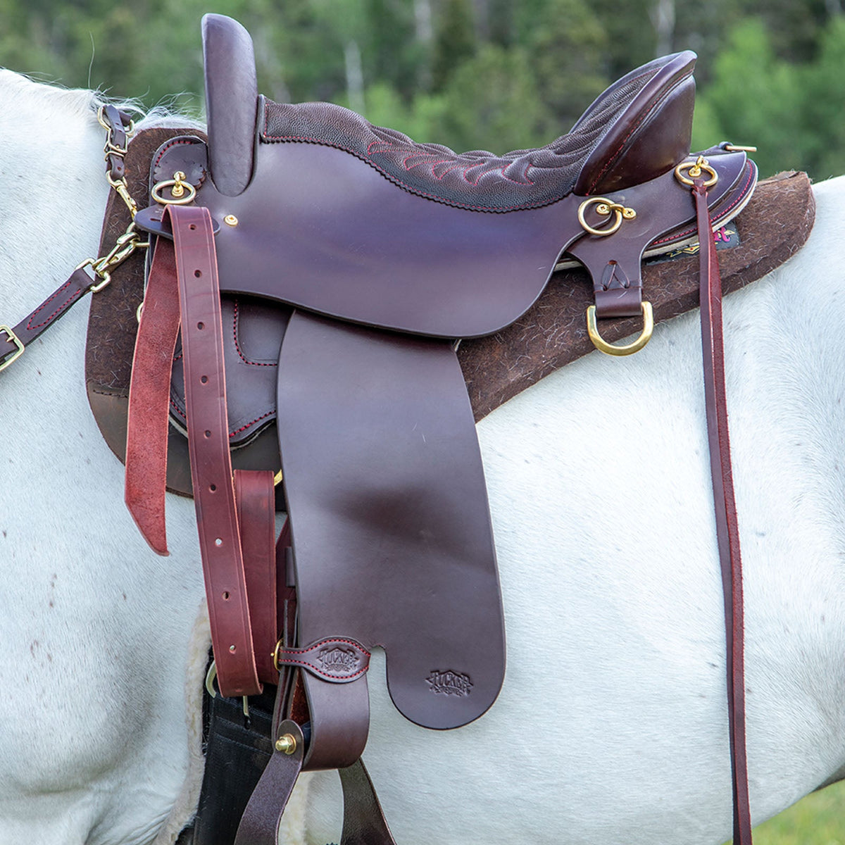 Tucker Trail Saddles – Premium Trail & Endurance Saddles | Colorado ...